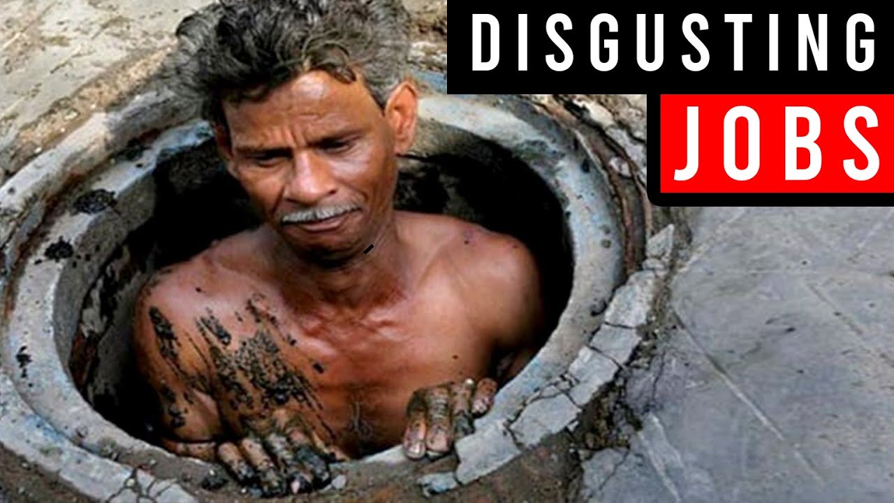 Disgusting Jobs : Don't watch If You Can't - YouTube