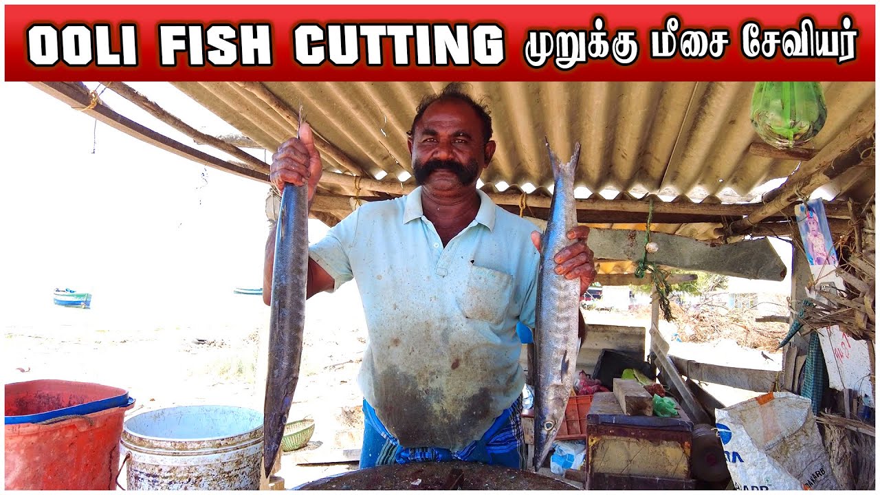 Ooli Fish Cutting ️ | ஊலி மீன் | முறுக்கு மீசை சேவியர் | Nemo Fish ...