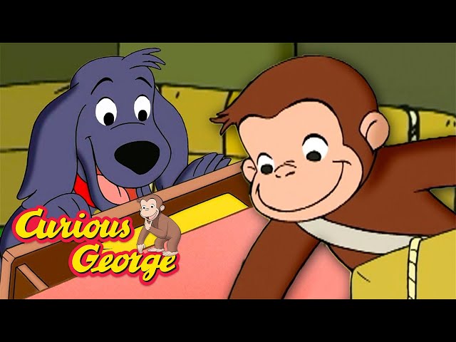 What a Good Dog! 🐵 Curious George 🐵 Kids Cartoon 🐵 Kids Movies - Videos ...