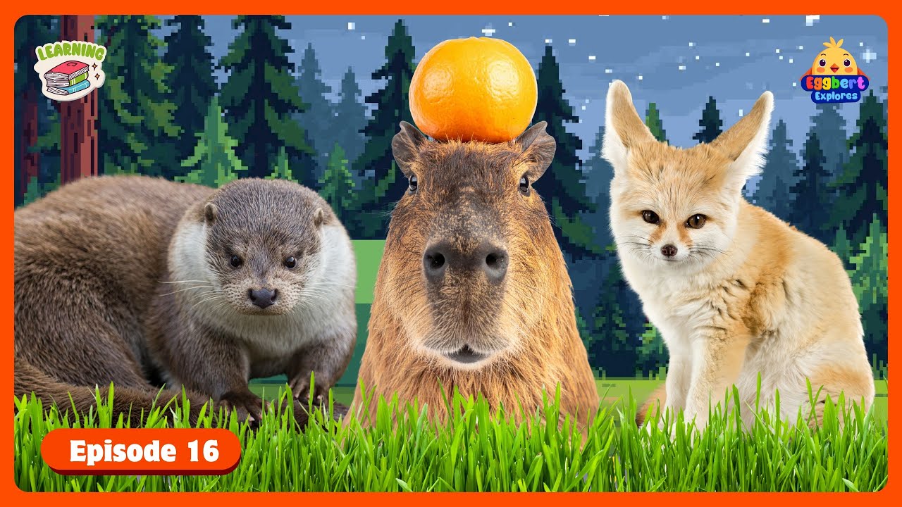 Guess Cute Jungle Animals 🌿 | Animal Quiz Game for Kids & Preschool ...