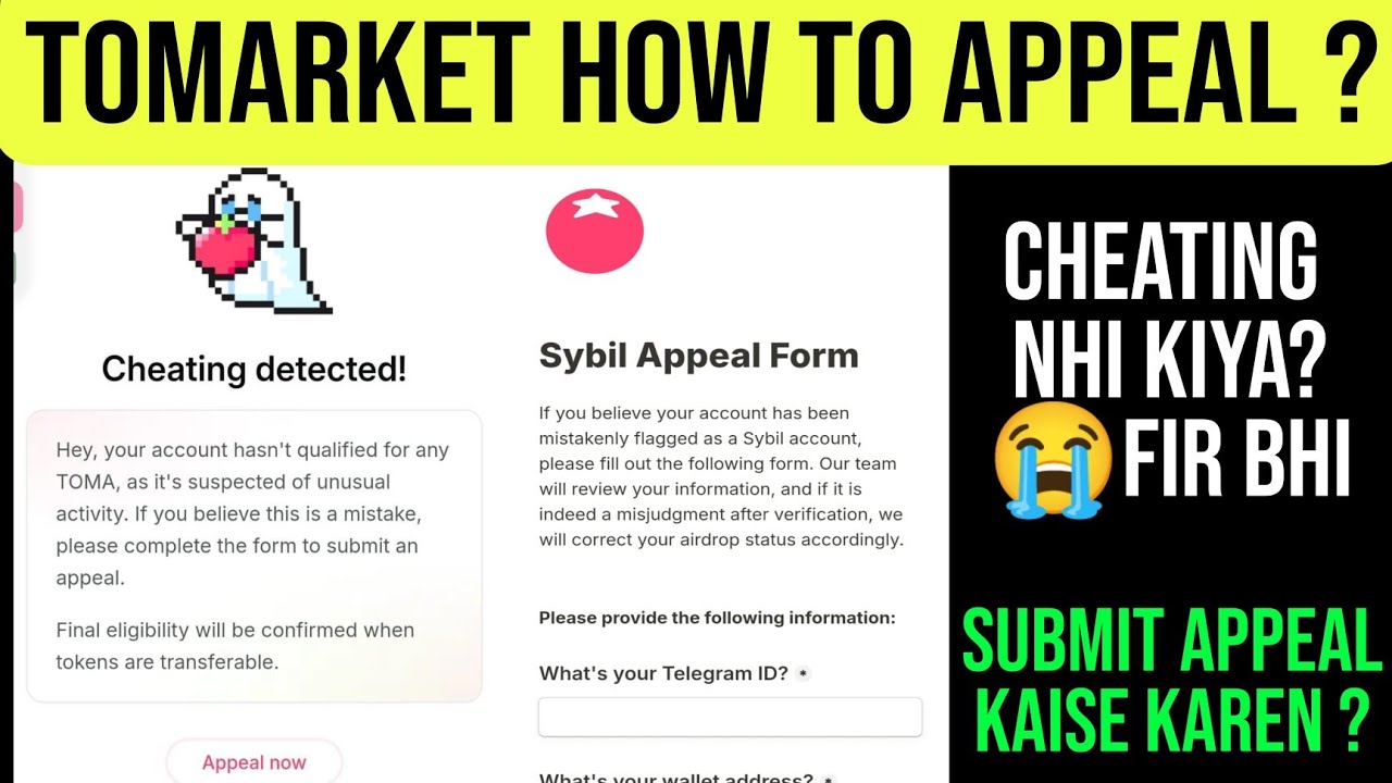 How To Appeal Tomarket Cheating Detected Tomarket | Cheating Detected Problem Tomarket Airdrop ...