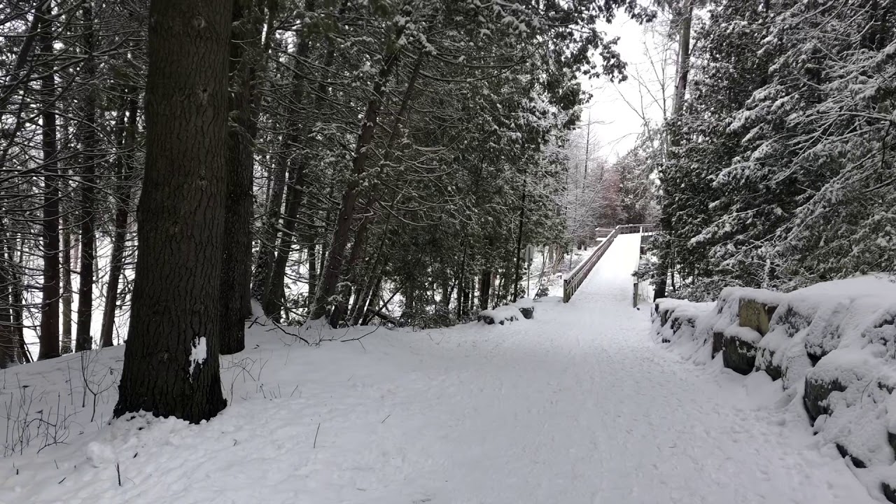 Beautiful Snow Storm Winter Wonderland Huron Natural Area in Kitchener ...