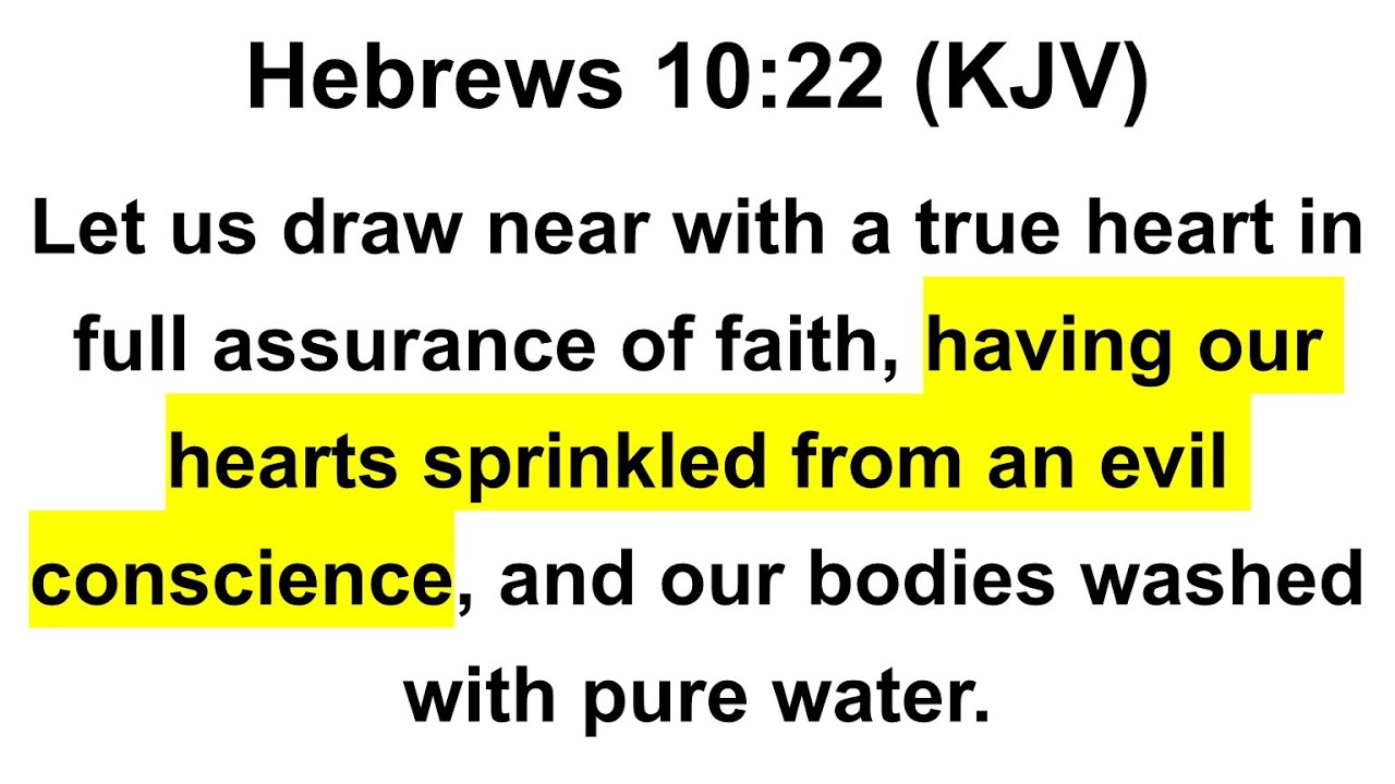 A CLEANSED CONSCIENCE: TO THE DEFILED & UNBELIVING NOTHING IS PURE: TO ...