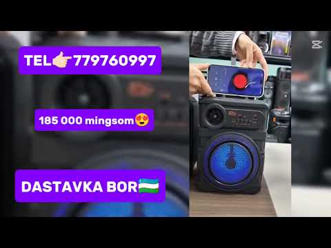 Kalonka Narxlari | Kalonkalar | Mini Kalonkalar | Aksiya