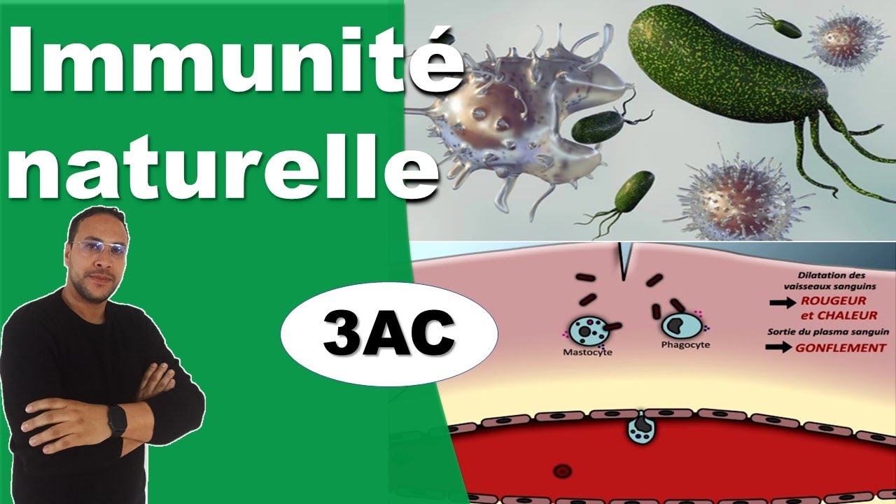 3AC: Immunité naturelle (résumé) - YouTube