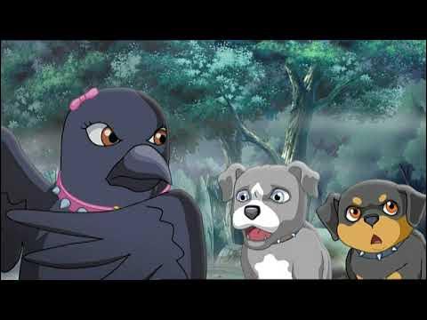 Moji džepni ljubimci epizoda 21- durilijin odgovor (1.deo) - YouTube