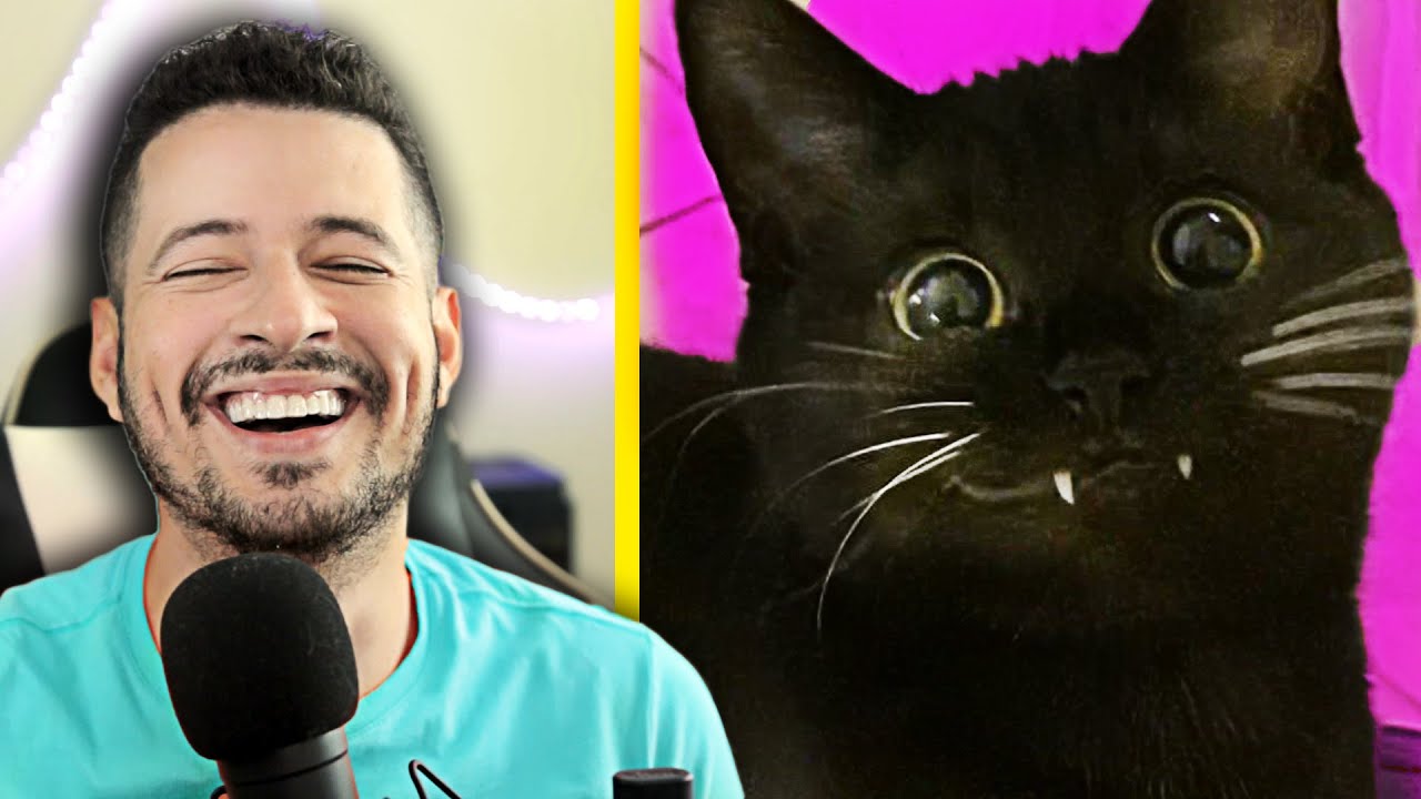 Este VÍdeo Vai Curar O Seu Estresse Youtube