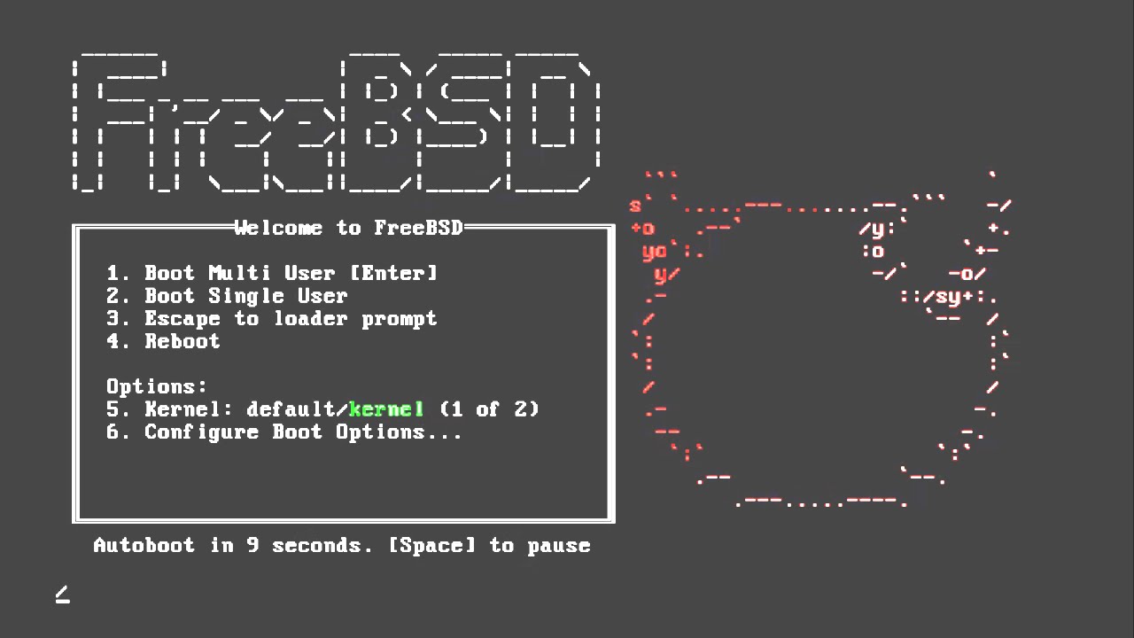 How to dual boot FreeBSD on Debian (Legacy MBR) - YouTube
