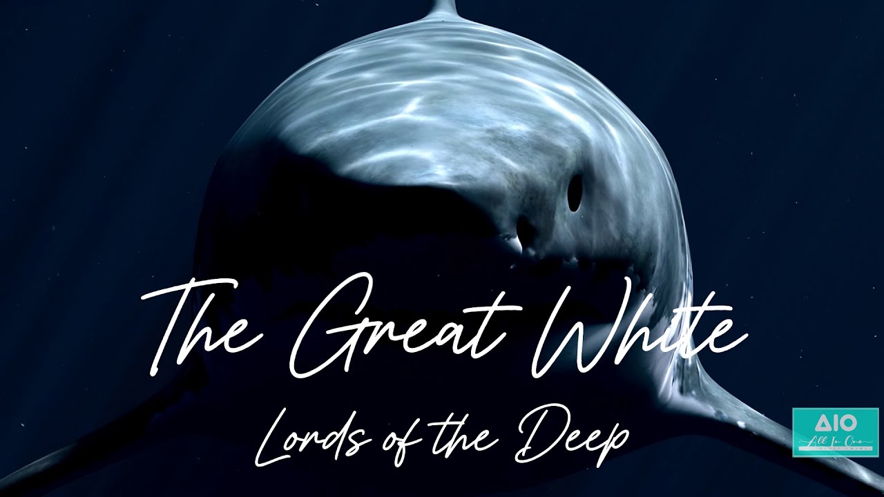 The Great White - Lords of the Deep - YouTube
