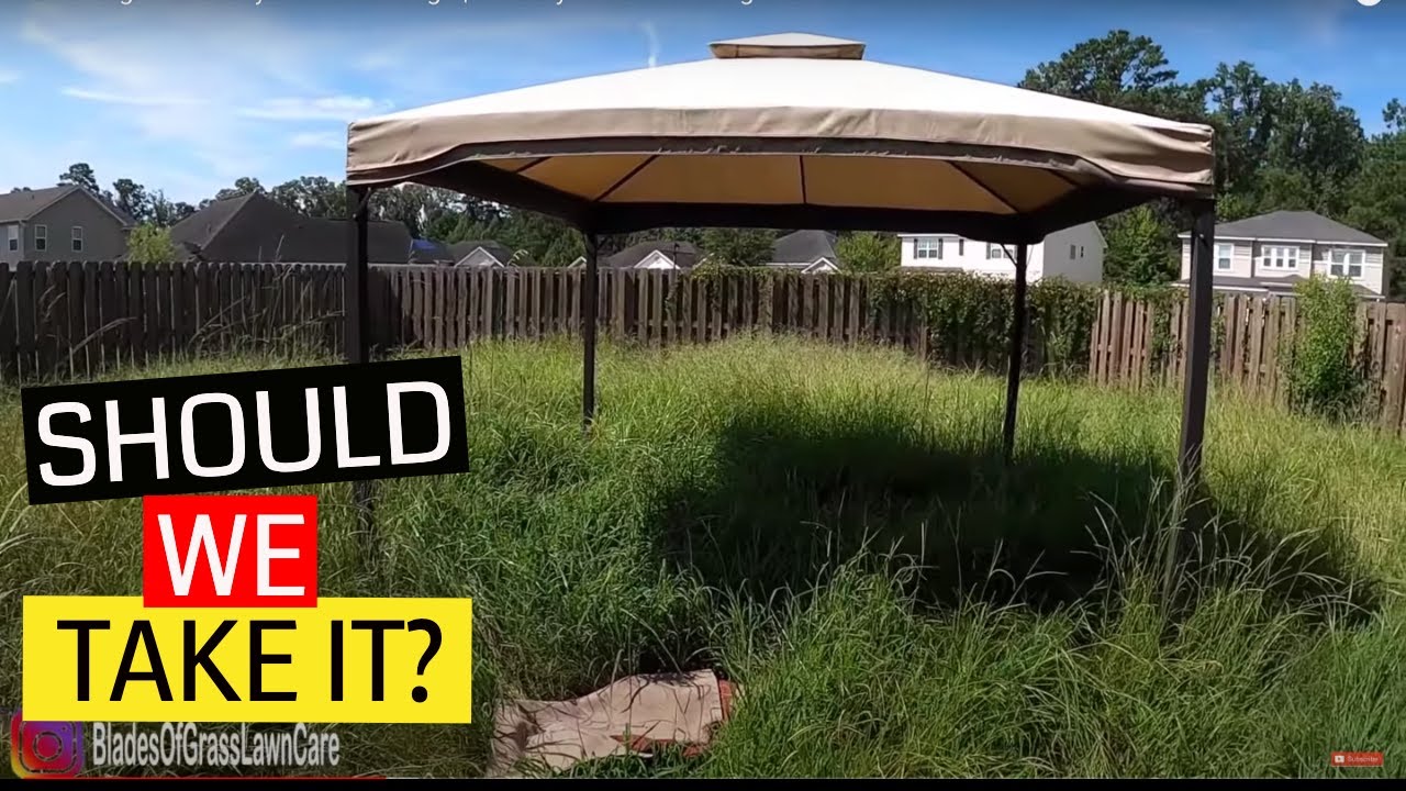 #4 Complete overgrown property makeover | Front yard's done! - YouTube