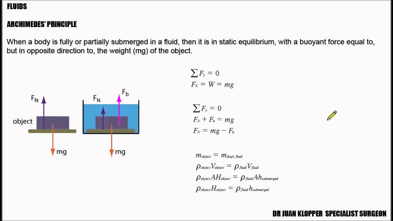 14 Fluids 4.mp4 - YouTube