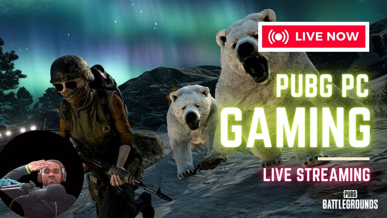 PUBG Pc live - YouTube