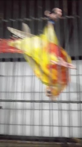 prodce high red factor sun cheek conure - YouTube
