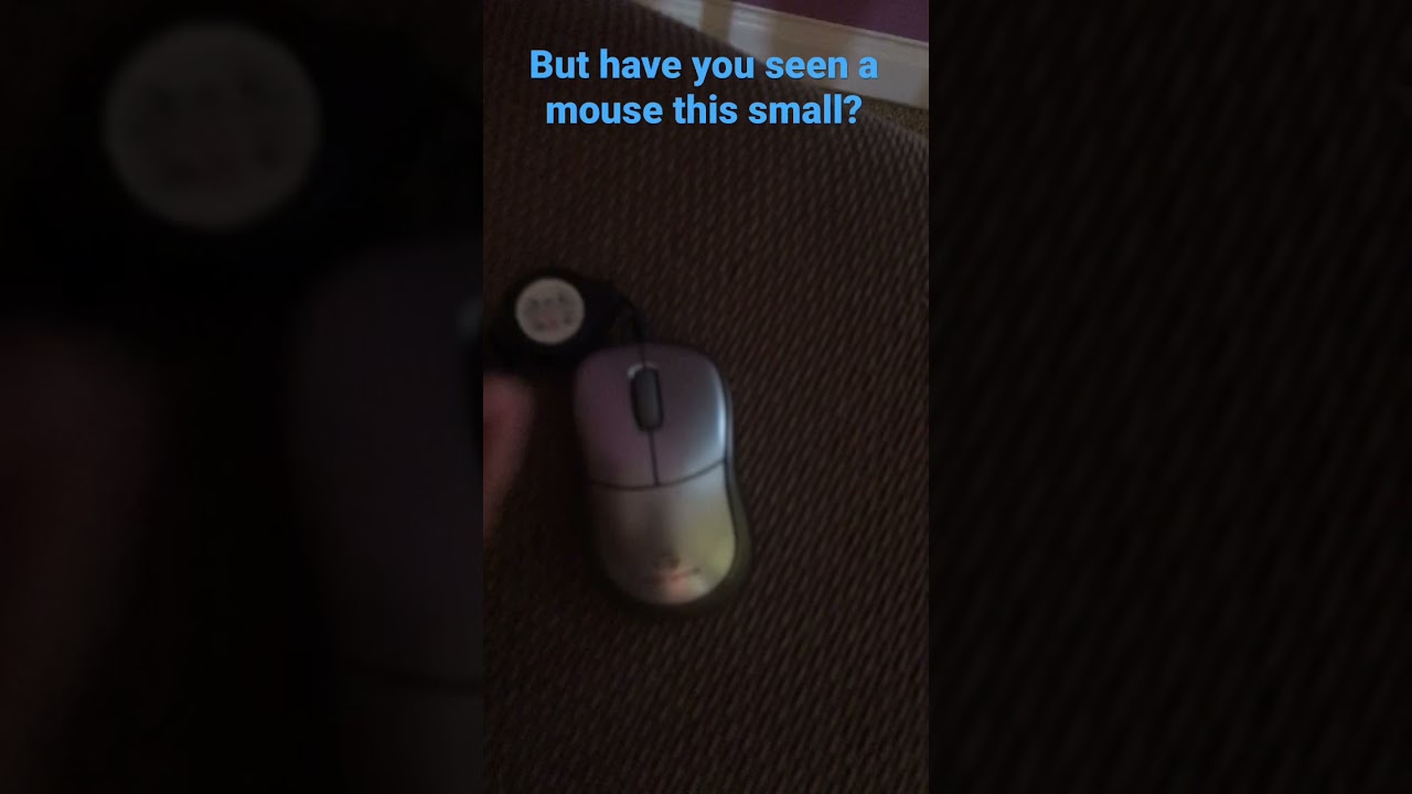 The smallest mouse in the world?😜😜 - YouTube