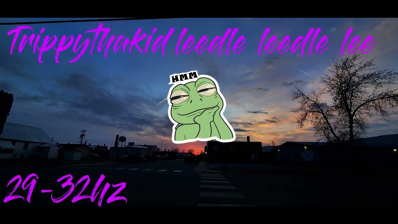 Trippythakid-leedle leedle Lee ( remastered & rebassed 29-32 hz - YouTube