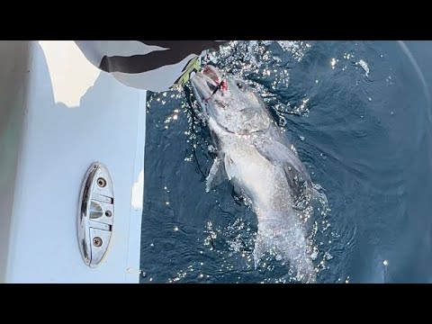 While jigging Double angler Hooked big GT TURNED TO TRIPLE anglers ...