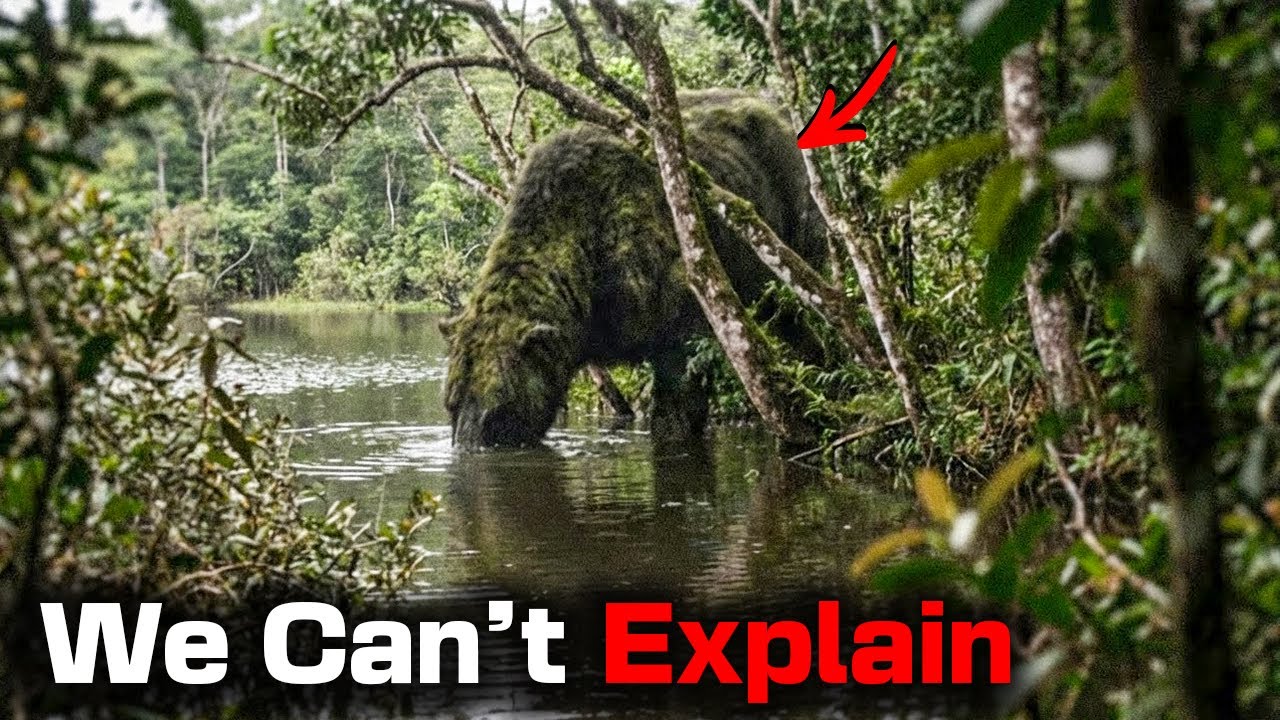 Scientists Found a Prehistoric BEAST in a Hidden Amazonian Lake & It’s ...