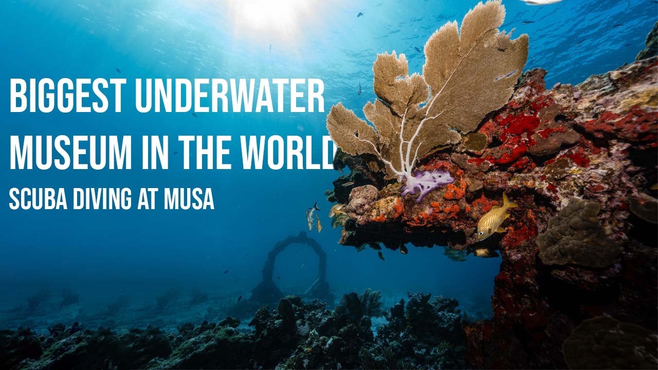 Visit MUSA - Biggest underwater museum in the world - ISLA MUJERES ...