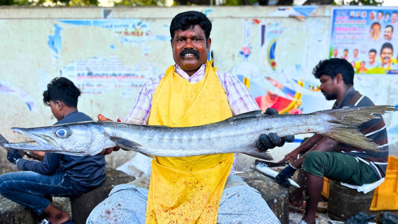 SHEELA BARRACUDA FISH CUTTING BY CHEETAH DURAI | HD VIDEO | IN KASIMEDU ...