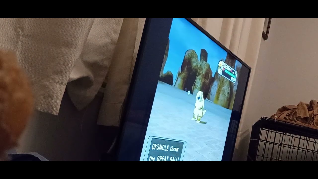 HOW TO CATCH WILD SANDSHREW POKEMON XD GALE OF DARKNESS POKE SPOT POKE ...