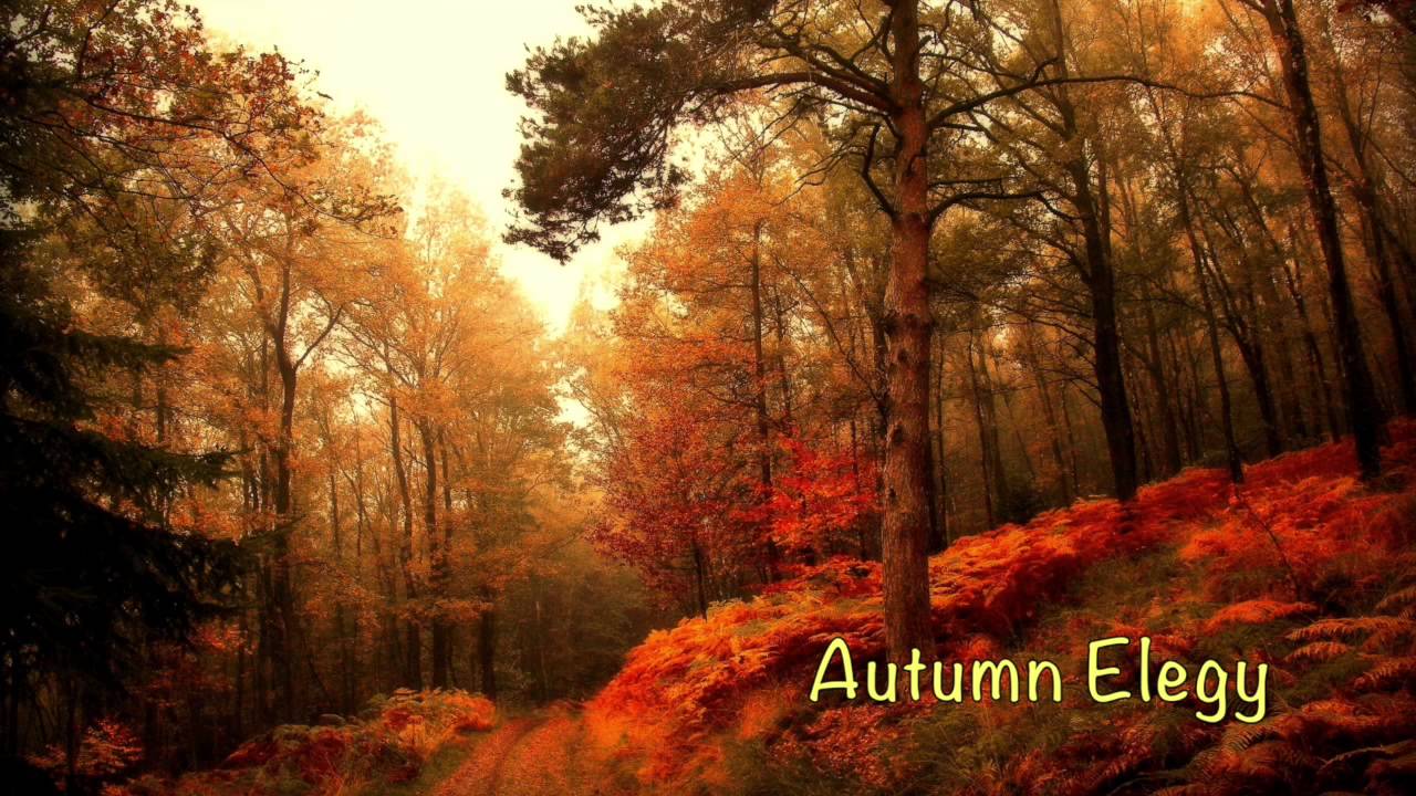 Autumn Elegy - YouTube