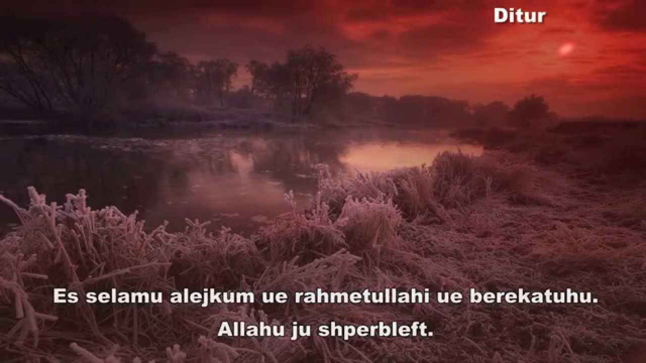 Gjarpëri ne Varr!! ᴴᴰ Ngjarje e vërtetë!! - YouTube