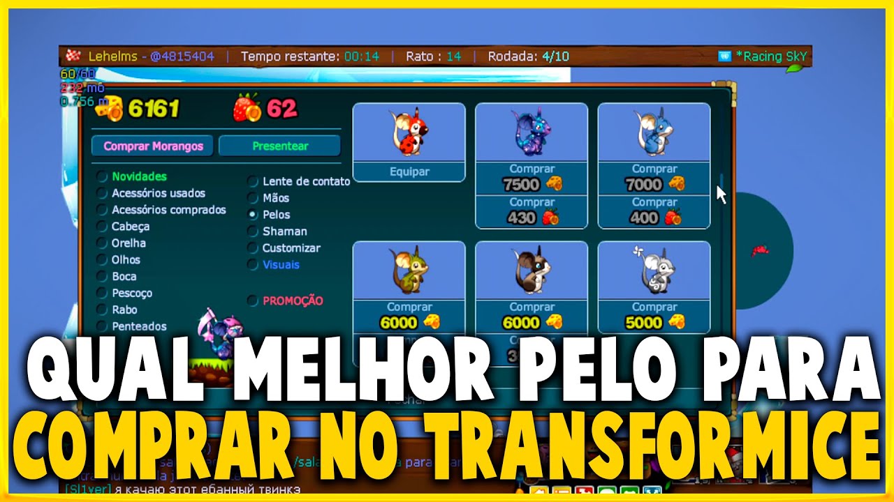TRANSFORMICE | QUAL MELHOR PELO PARA COMPRAR? - YouTube