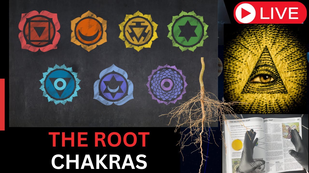 The Root Chakra Unveiled: Unlocking Your Inner Strength | Harry B ...