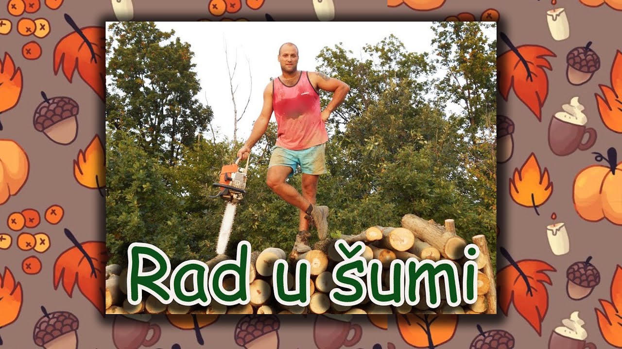 RAD U ŠUMI / PLANINA RUDNIK / SELO MUTANJ / 2018 - Nenad Jakovljevic ...