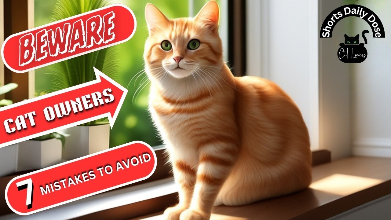 Beware Cat Owners : 7 Mistakes To Avoid - YouTube