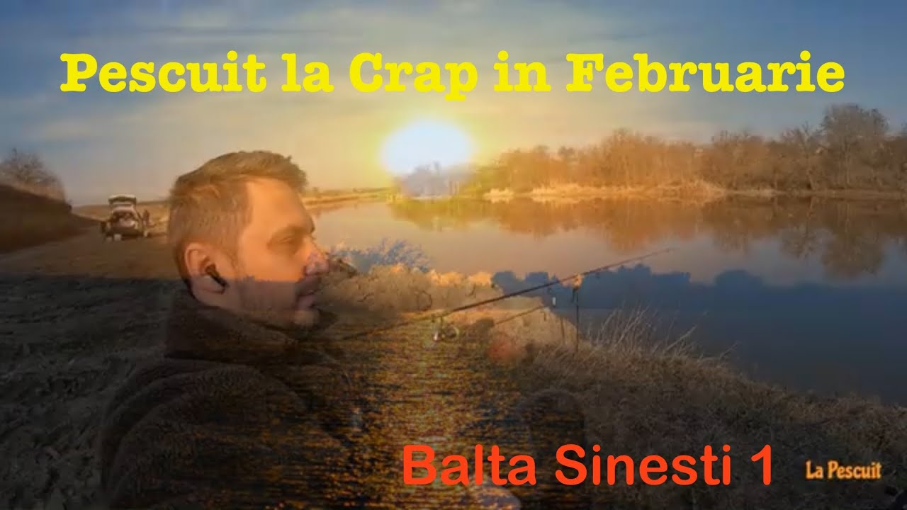 Pescuit la Crap in Februarie 2024, pe Balta Sinesti 1! - YouTube