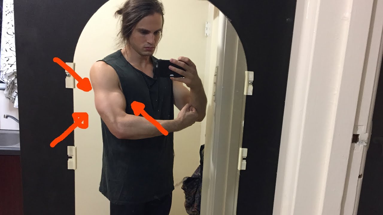 Hitting a muscle from every angle - is it effective? - YouTube