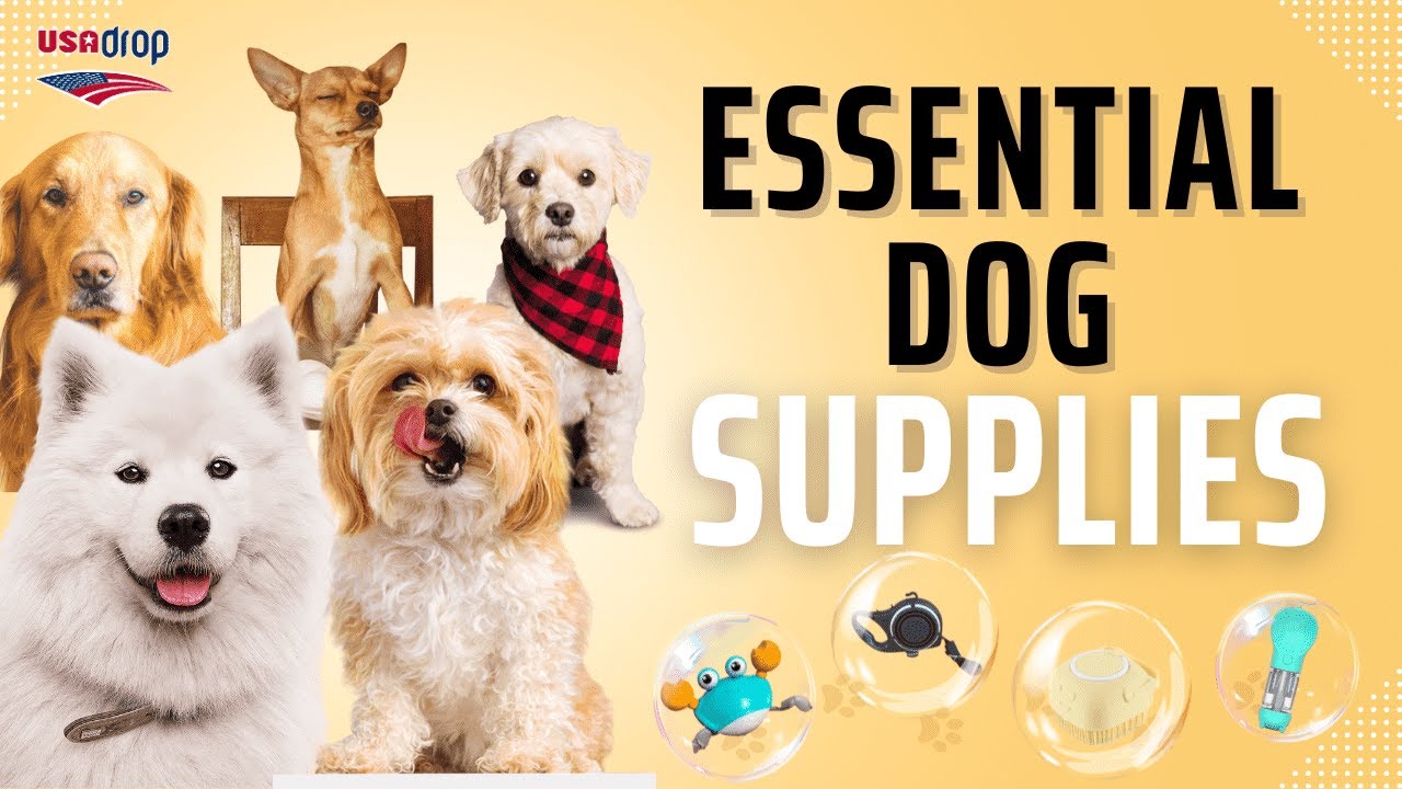TOP 5 Essential Dog Supplies | USAdrop - YouTube