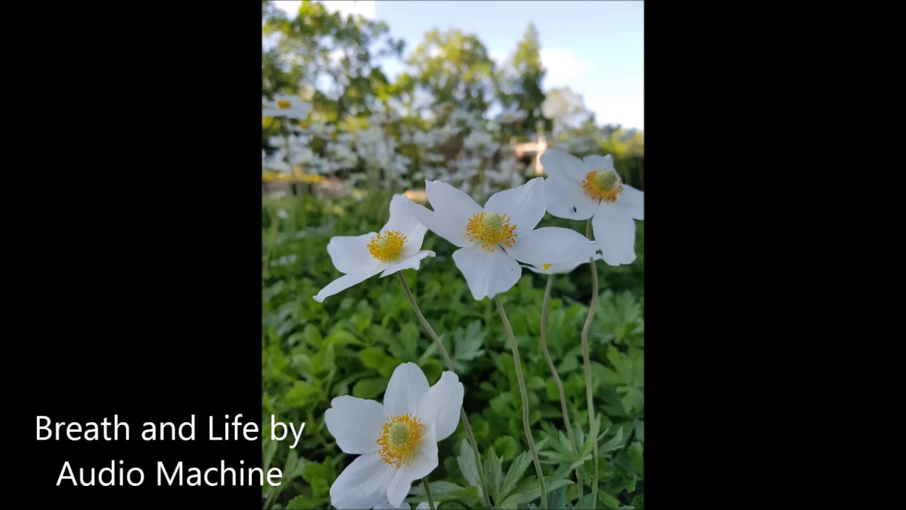 Breath and Life by Audio Machine - YouTube