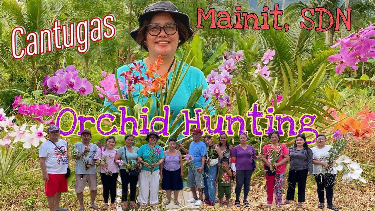 Orchid hunting in Cantugas, Mainit, SDN - YouTube