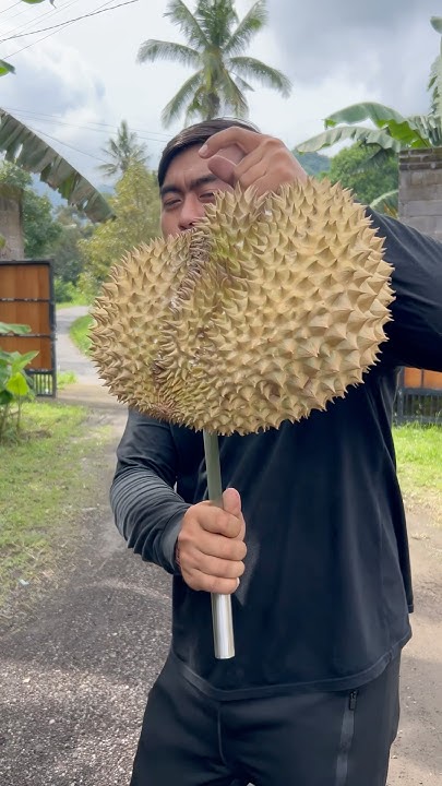 Durian montong gepeng #doniartawan - YouTube