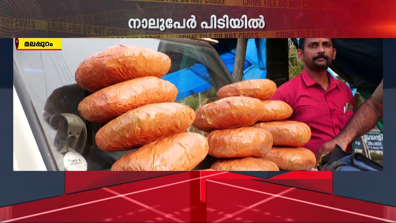 പെരിന്തൽമണ്ണയിൽ ലഹരിവേട്ട; 13 കിലോ കഞ്ചാവ് പിടികൂടി | Operation D Hunt ...
