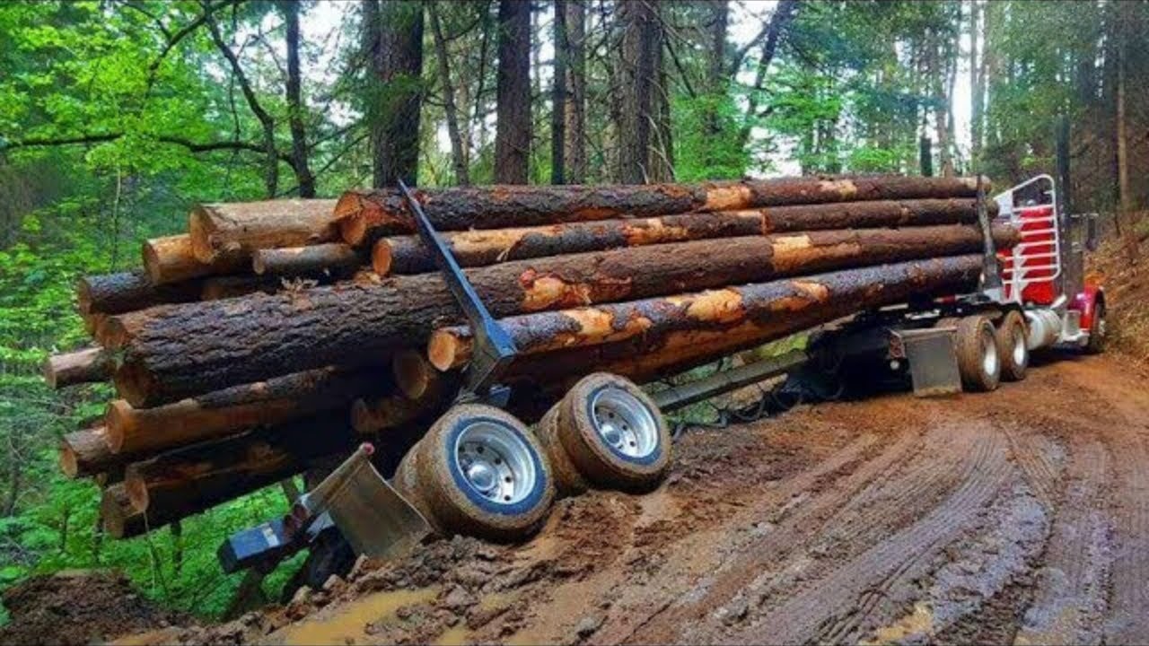 Top 10 Heavy Wood Logging Trucks Incredible Fails to Go Wrong ...