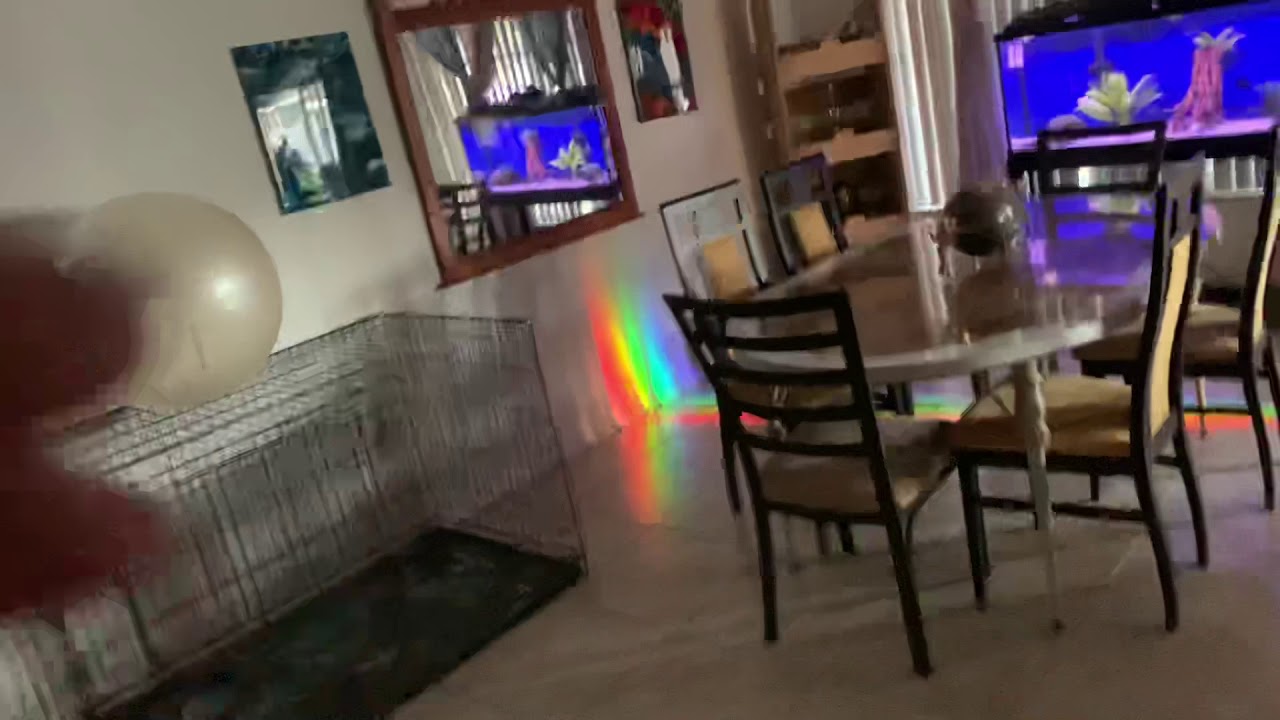 I just find a rainbow in my house - YouTube