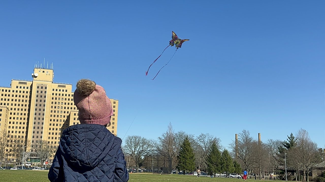 Let's go Fly a Kite | Sky flying Kite 1st time | How to fly kite - YouTube