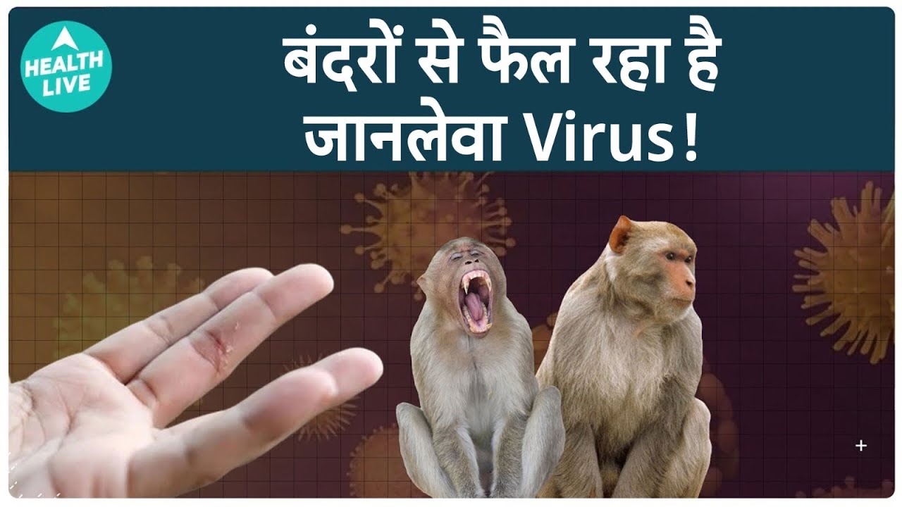 Monkey Virus क्या है? I monkey virus I Health Live - YouTube