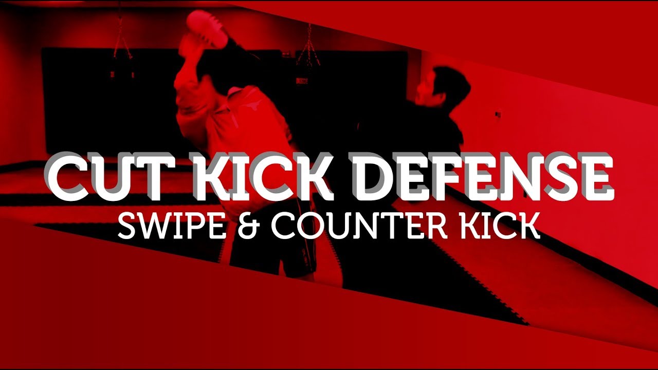 Cut Kick Defense - Swipe & Counter Kick - YouTube