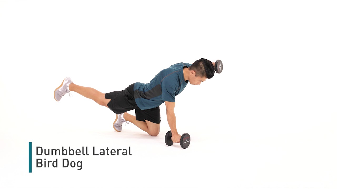 Dumbbell Lateral Bird Dog - YouTube