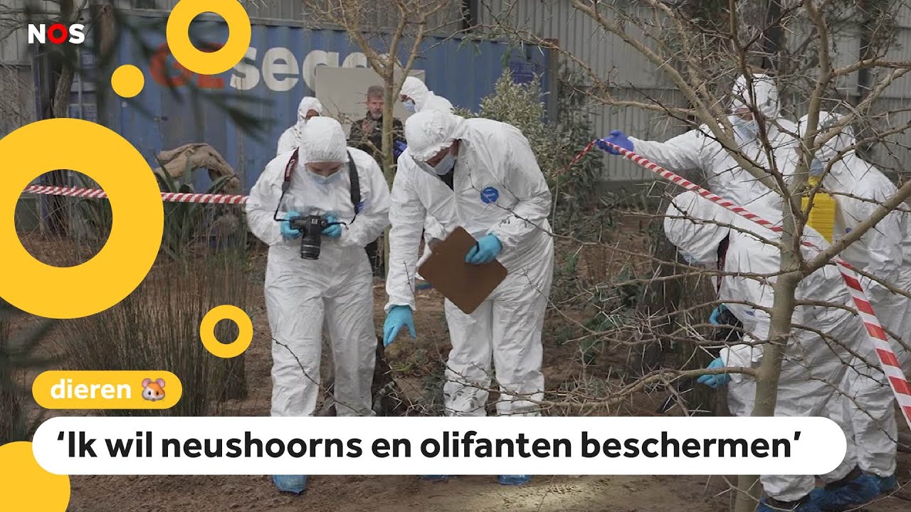 Nieuwe manier om stropers op te sporen in Zuid Afrika - YouTube