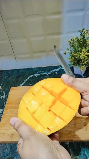 Lagda aam 🥭 #trending #funny #mangotreat #aam #ytshort #cooking # ...