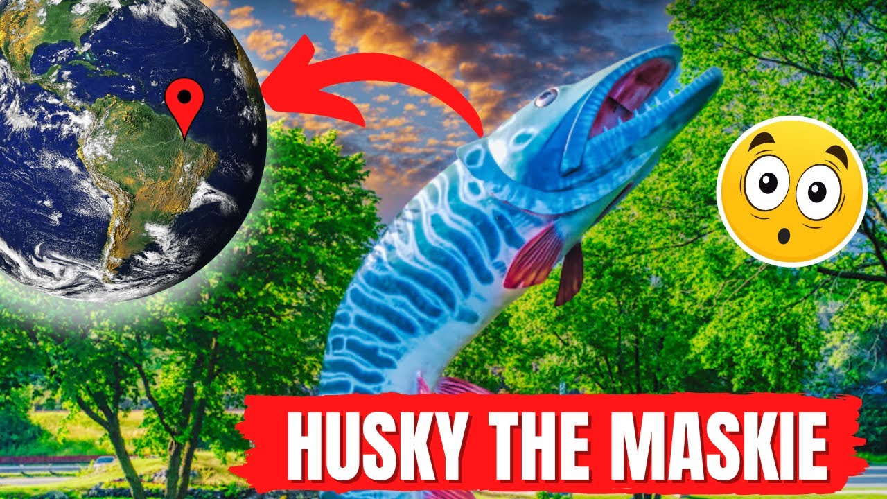 I found GIANT FISH 🐟 on Google Earth and Google Maps 🌎 - YouTube