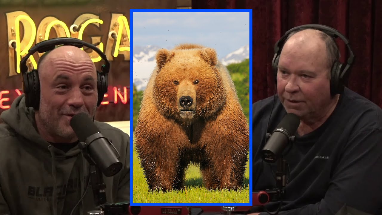 Bear Stories | Joe Rogan Experience w/ John Reeves - YouTube