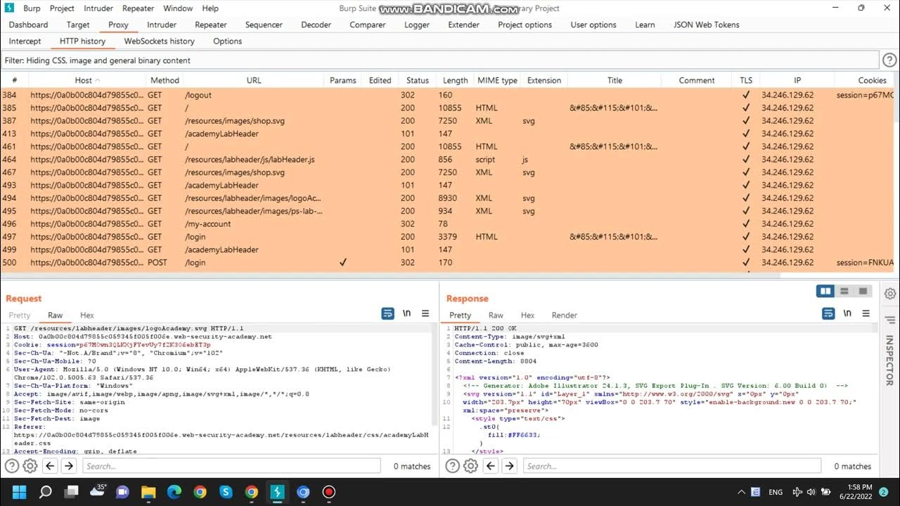 BAC - Lab 8: User ID controlled by request parameter with password disclosure - YouTube