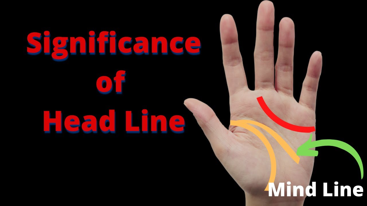 Meaning of head line in hand Palmistry | हाथ में सिर की रेखा का अर्थ ...