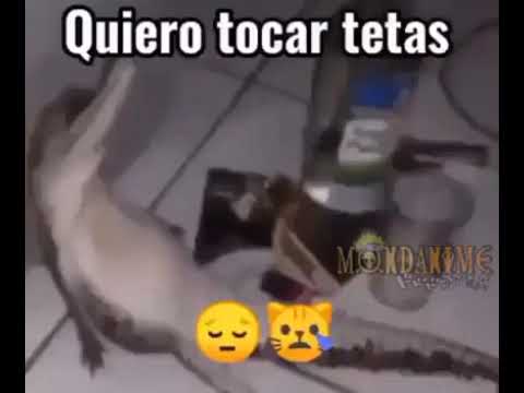 quiero tetas😣